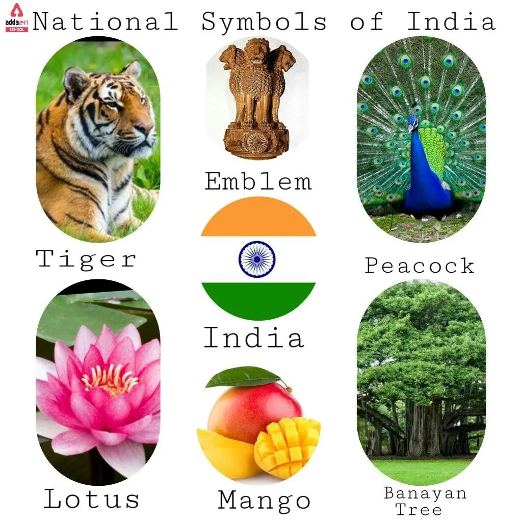 National Identity Elements National Fruit Know India